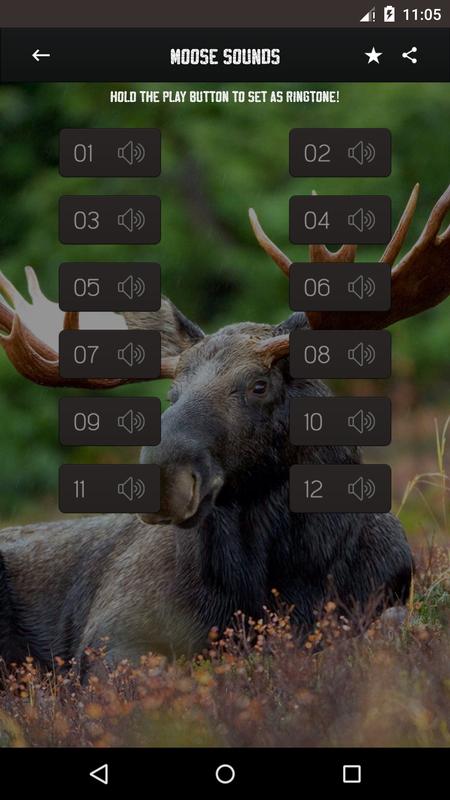 Moose Sounds APK Download - Free Music & Audio APP for Android ...