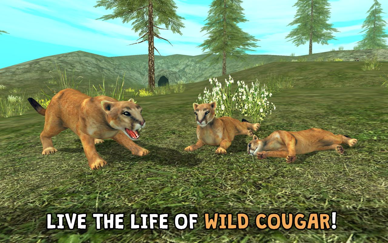 Wild Cougar Sim 3D APK Download - Free Simulation GAME for Android ...