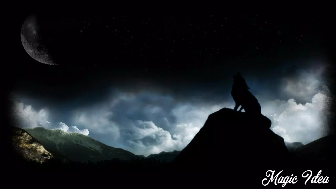 Black Wolf Howling Wallpaper