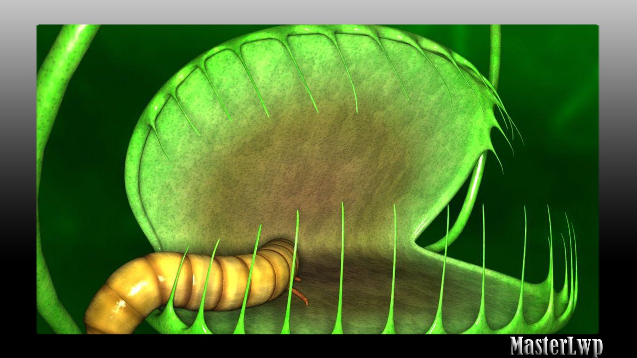 Venus Flytrap Wallpaper APK للاندرويد تنزيل