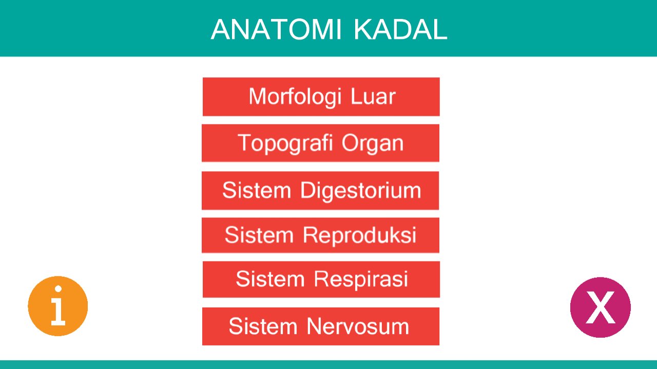 Anatomi Kadal APK untuk Unduhan Android