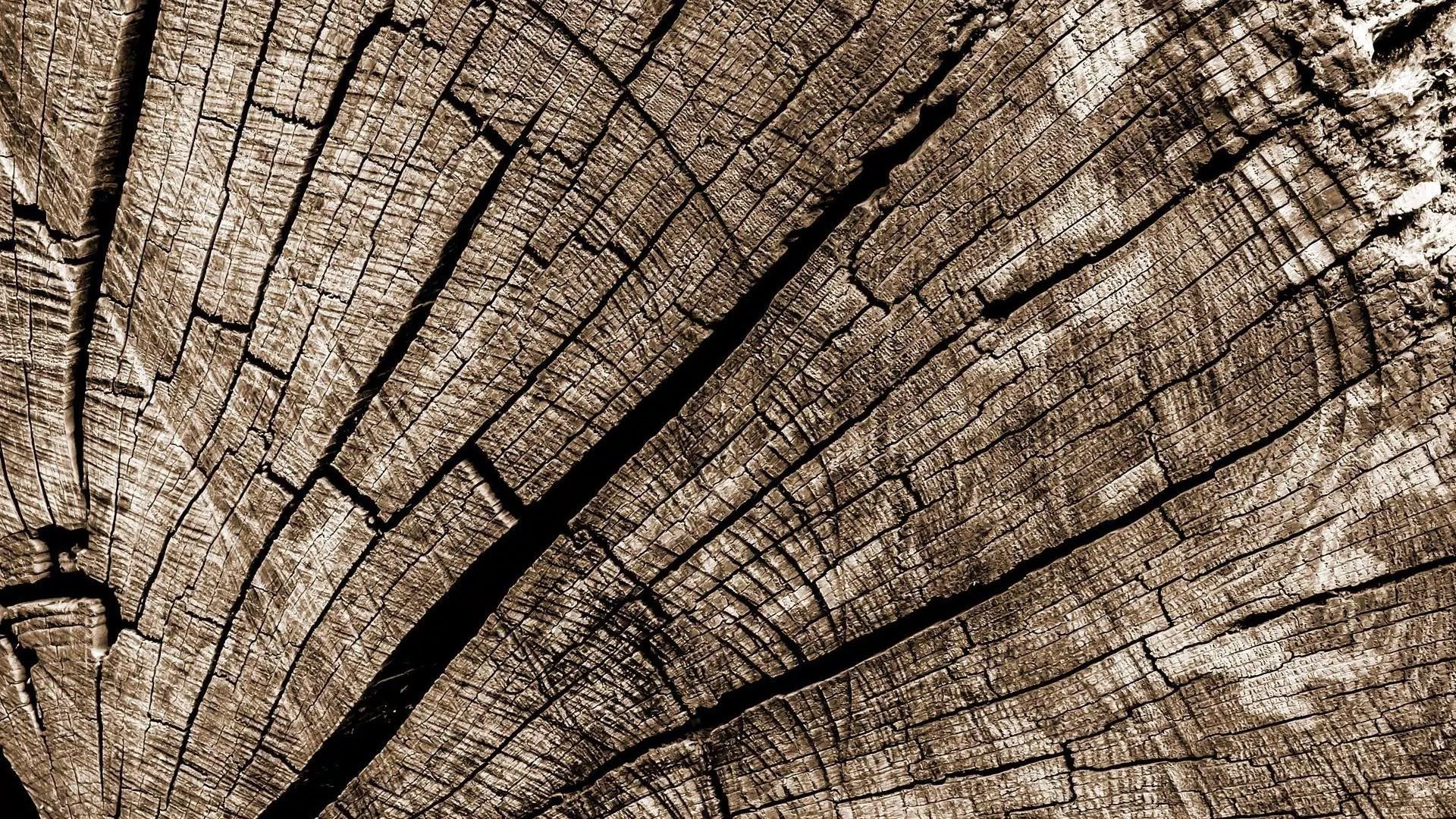 Wood Surface Hd