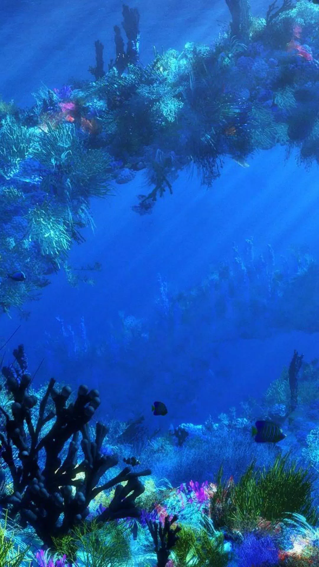 Underwater Hd Wallpapers Live