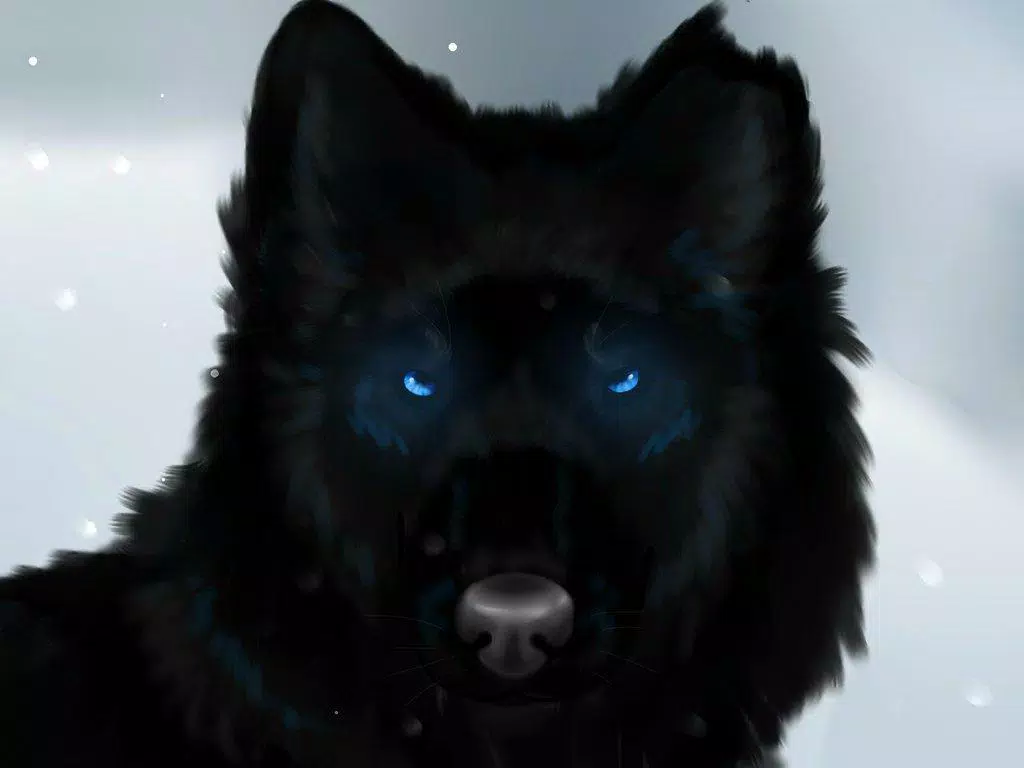 Black Wolf Eyes Wallpapers