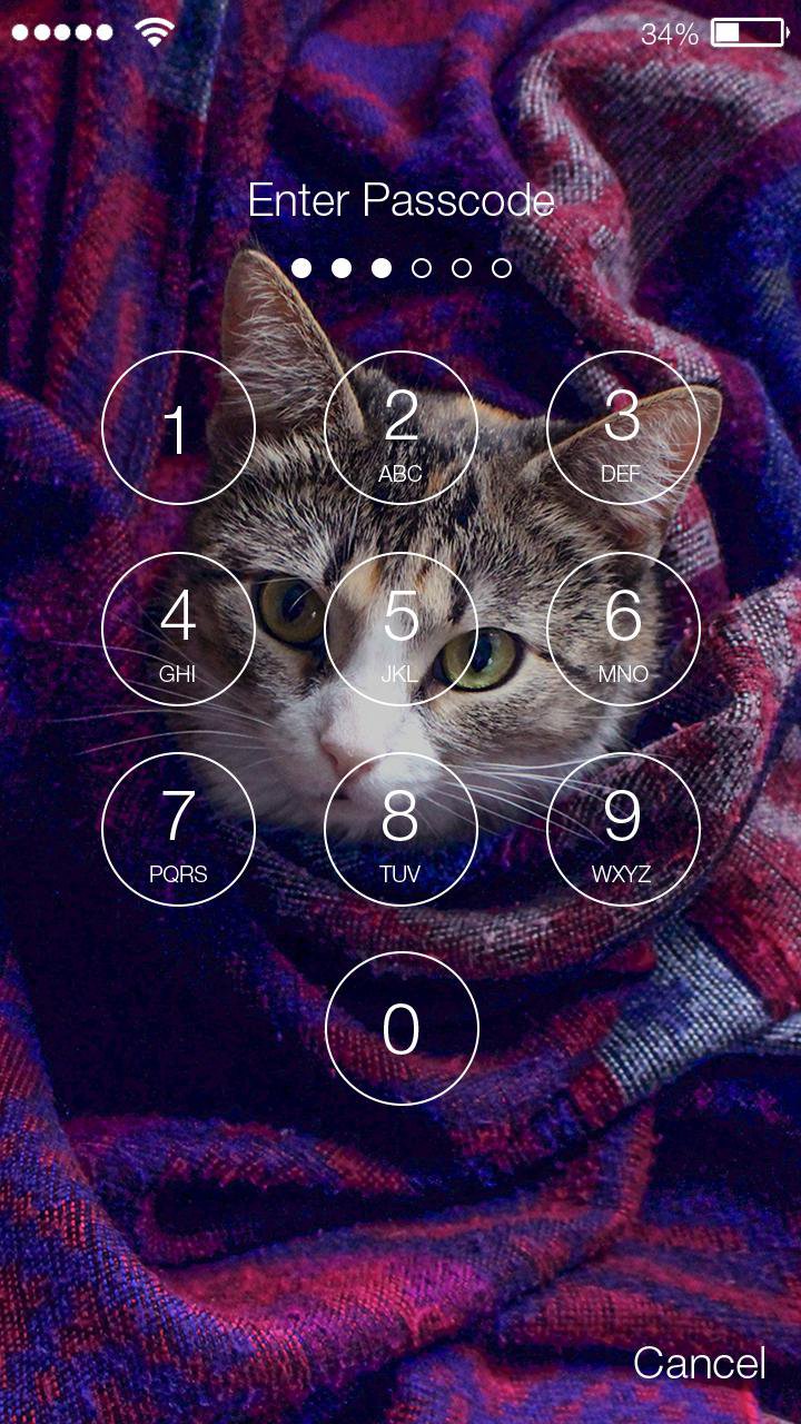 Cute Kitty Cat Pattern Lock Screen PIN Wallpapers APK for Android Download