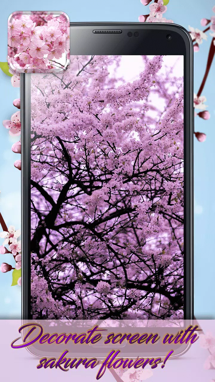 Wallpaper Bunga Sakura Bergerak