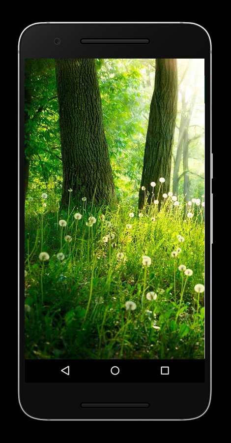 Forest Live Wallpaper! APK für Android herunterladen