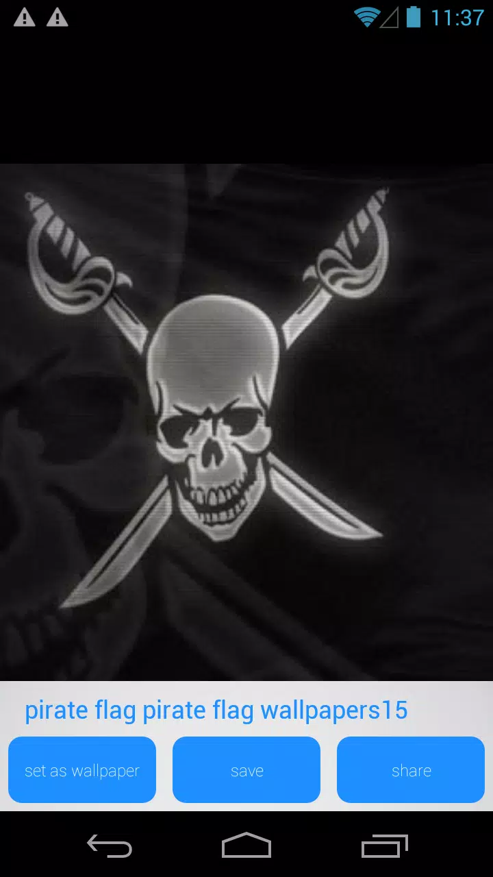 Pirate Flag Wallpaper Hd
