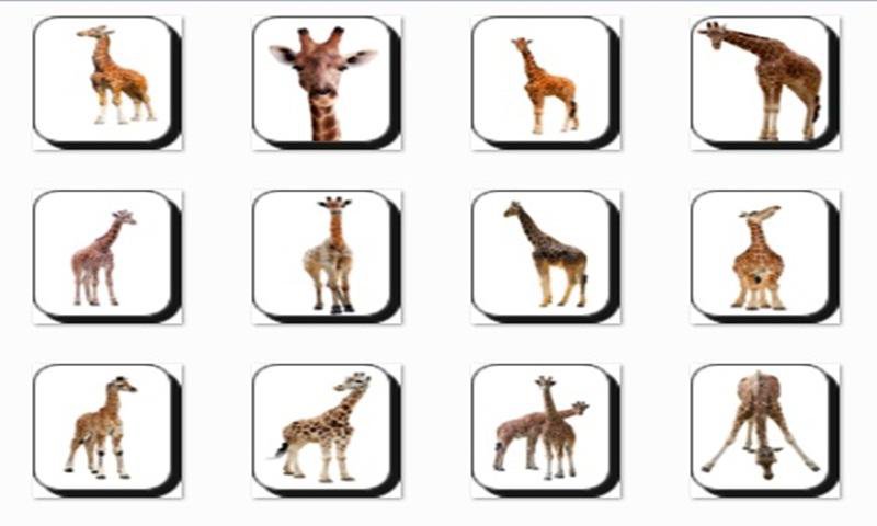 New Giraffe Onet Connect Games APK for Android Download