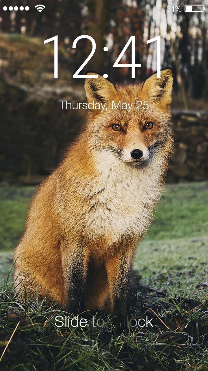 Fox Lock App APK for Android Download