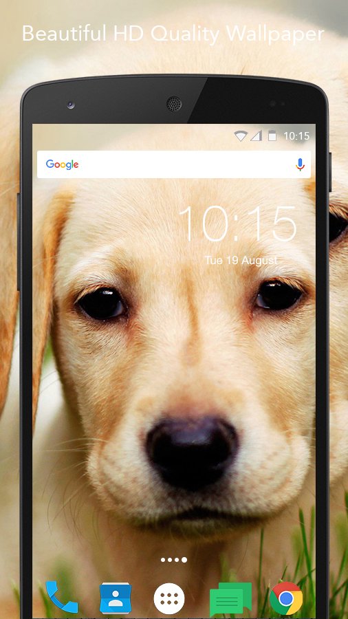 DOG Wallpaper APK for Android Download