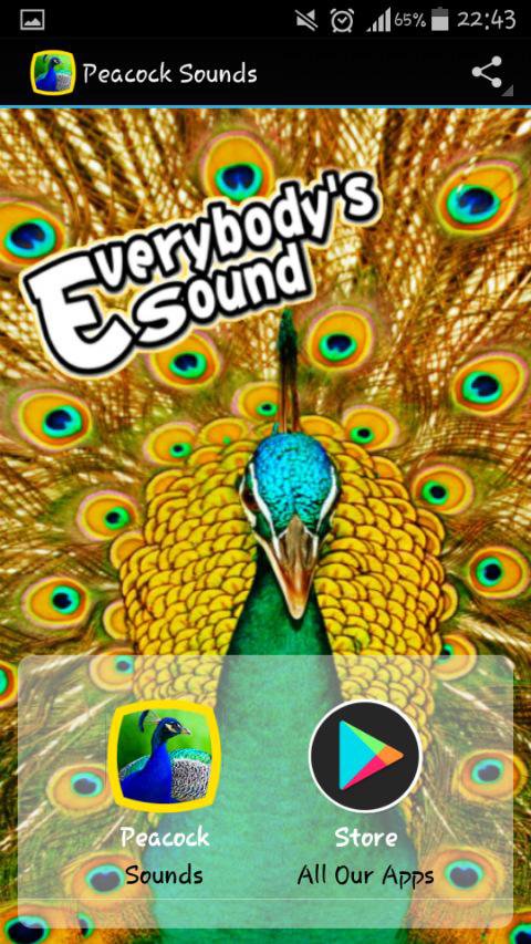 Peacock Sounds APK for Android Download