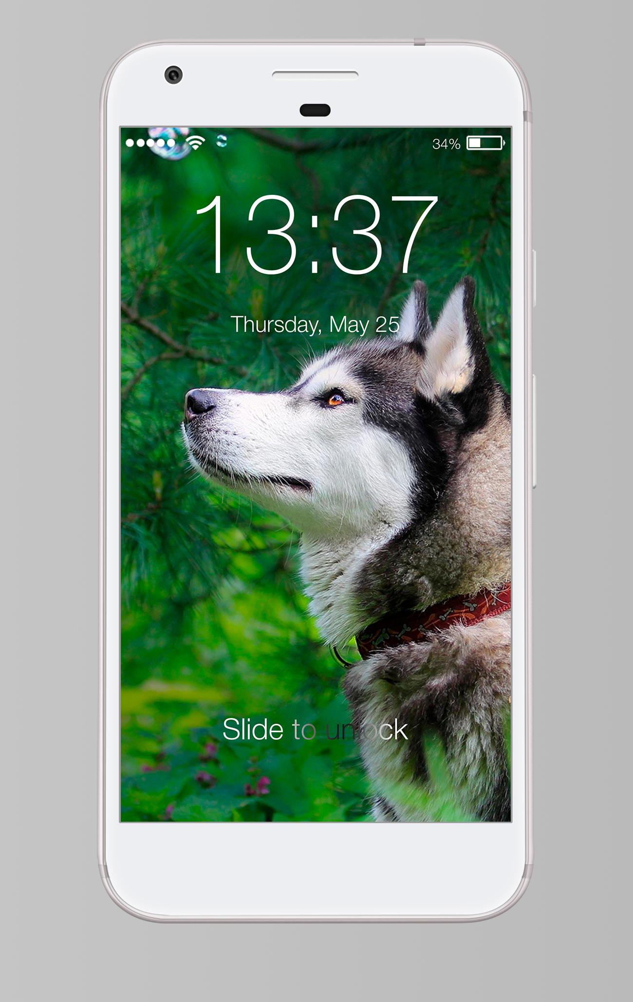 Husky Pup Wallpapers HD PIN Lock Screen Password APK für Android ...