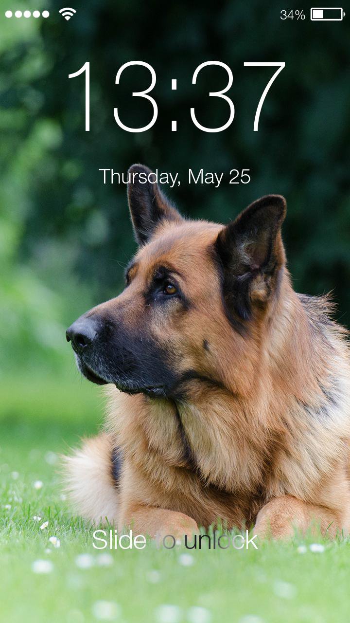 German Shepherd Wallpaper PIN Lock Screen Password APK für Android ...