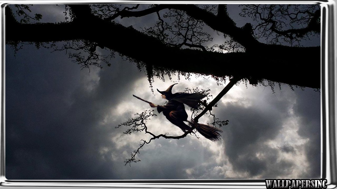 Witches Wallpaper APK for Android Download