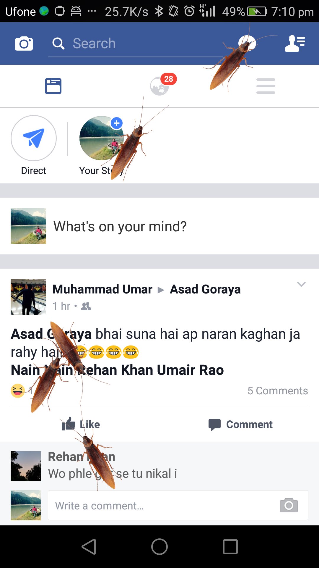 Cockroaches on Screen - Prank & Fun APK for Android Download