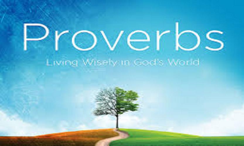 Marathi Rare Proverbs APK marathi-rare-proverbs-apk