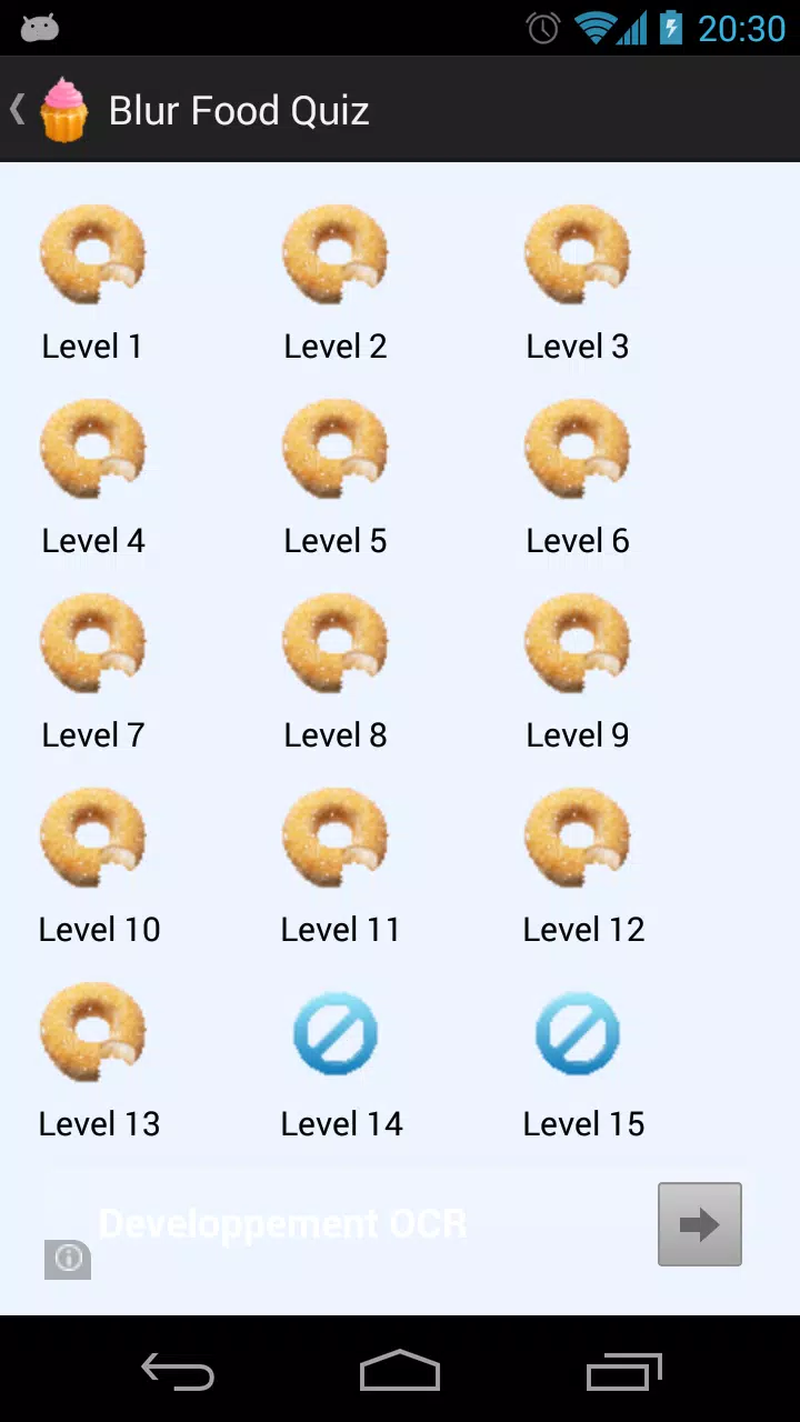 Guess The Food Level 11