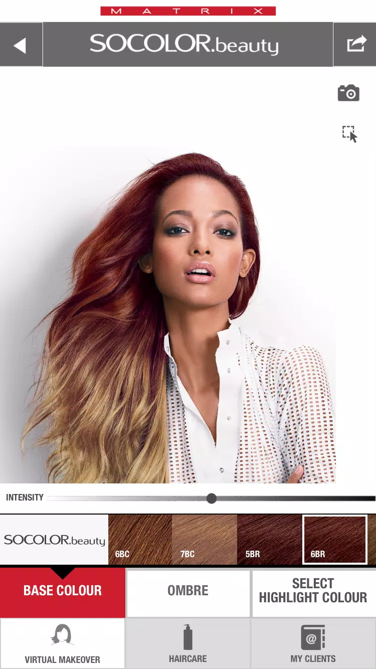 Matrix Red Hair Color Chart