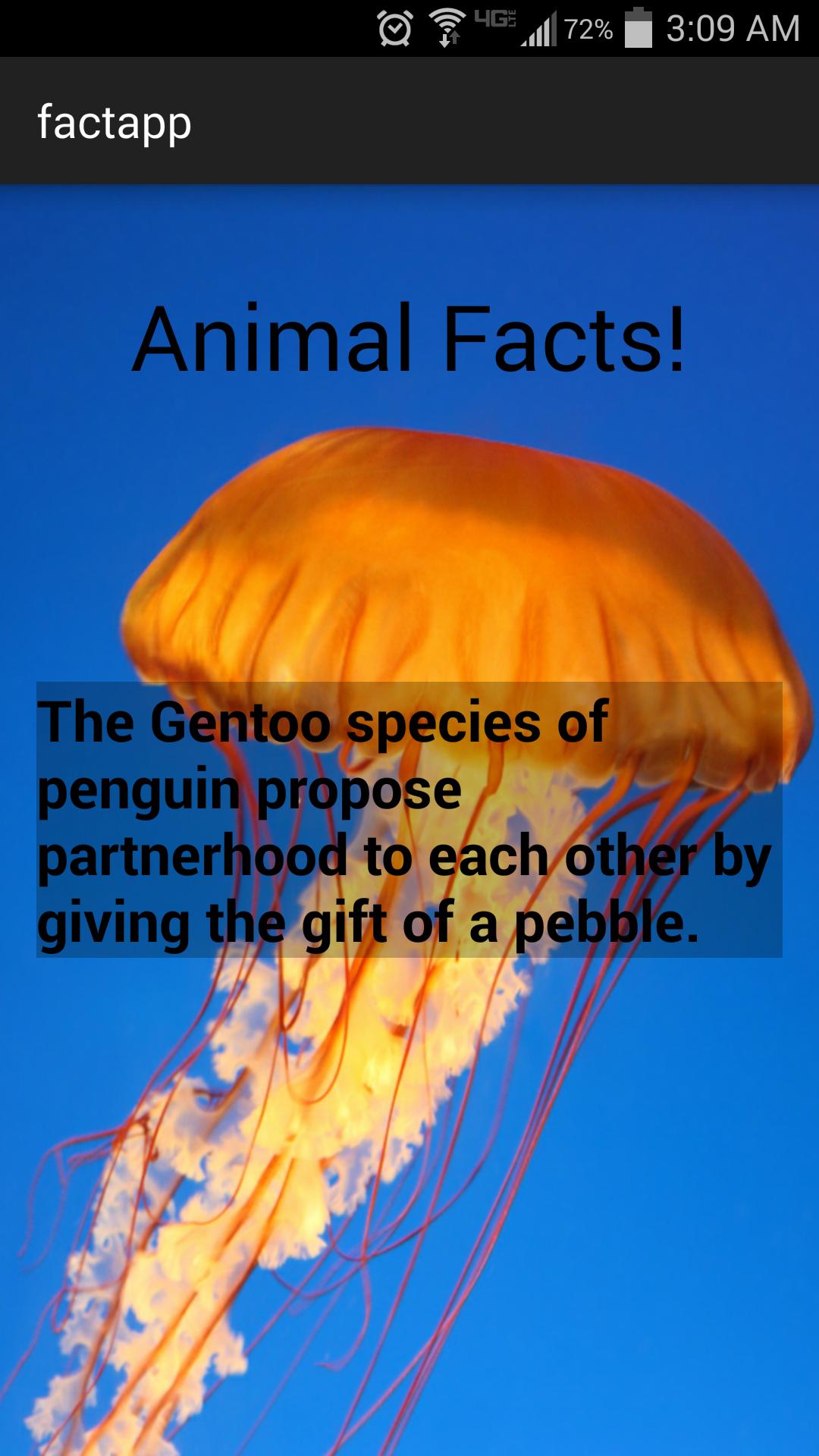40 Cool Facts About Animals APK 40-cool-facts-about-animals-apk