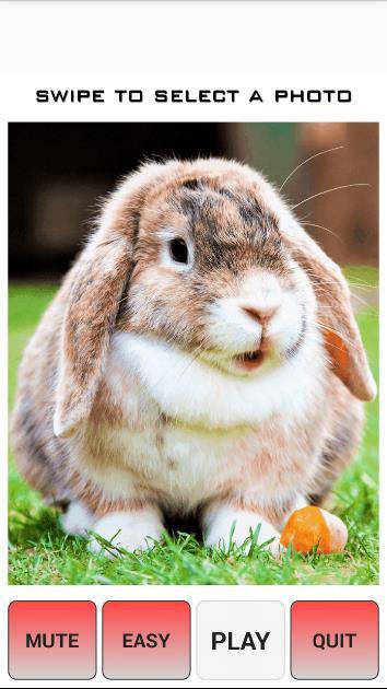 Adorable Rabbit Tile Puzzle Game APK für Android herunterladen