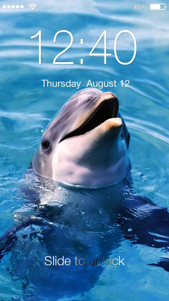 Download do APK de Dolphin Sea HD Lock para Android