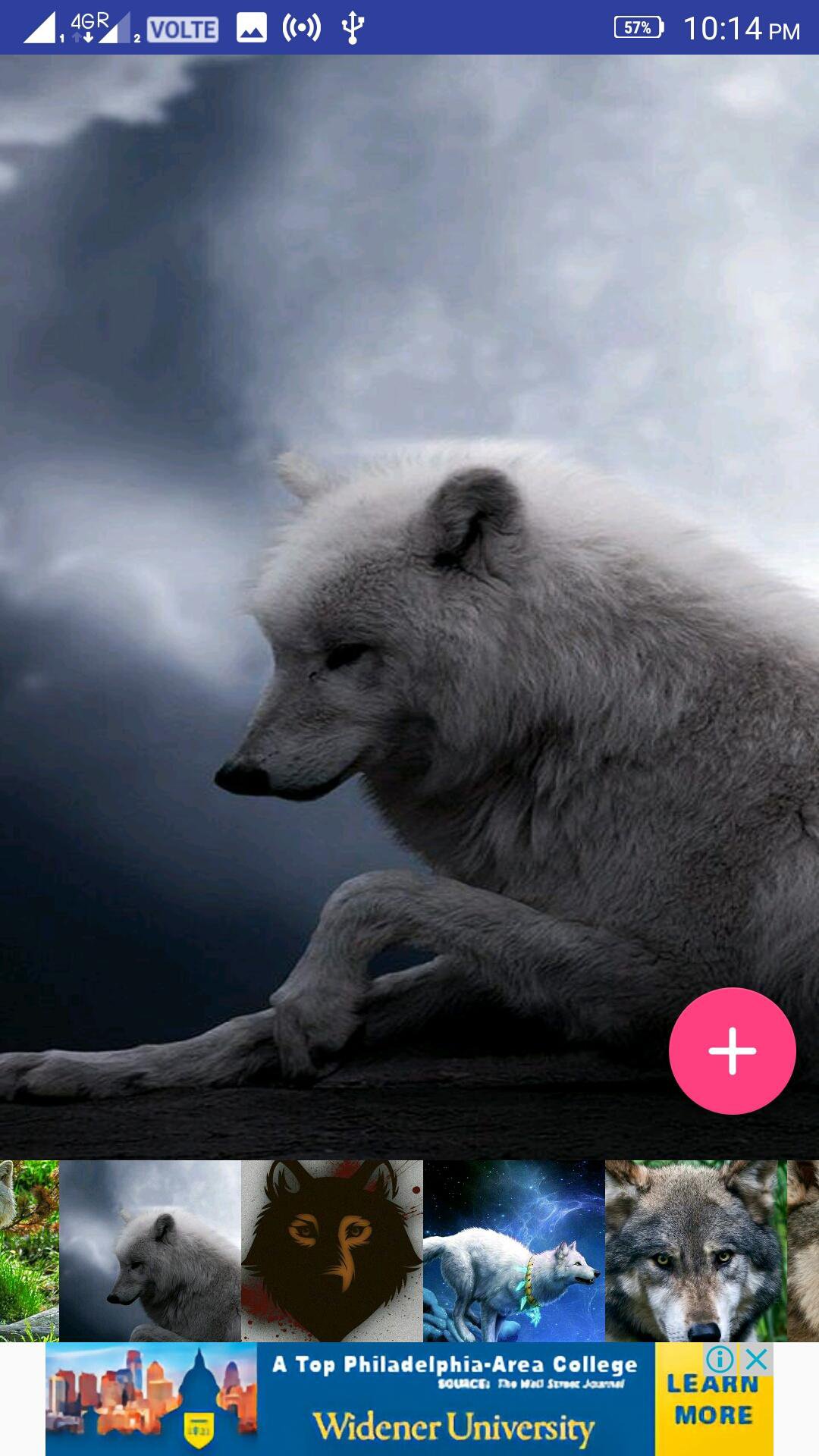 Wolf Wallpapers HD - 3D, Live, Best, Night APK for Android Download