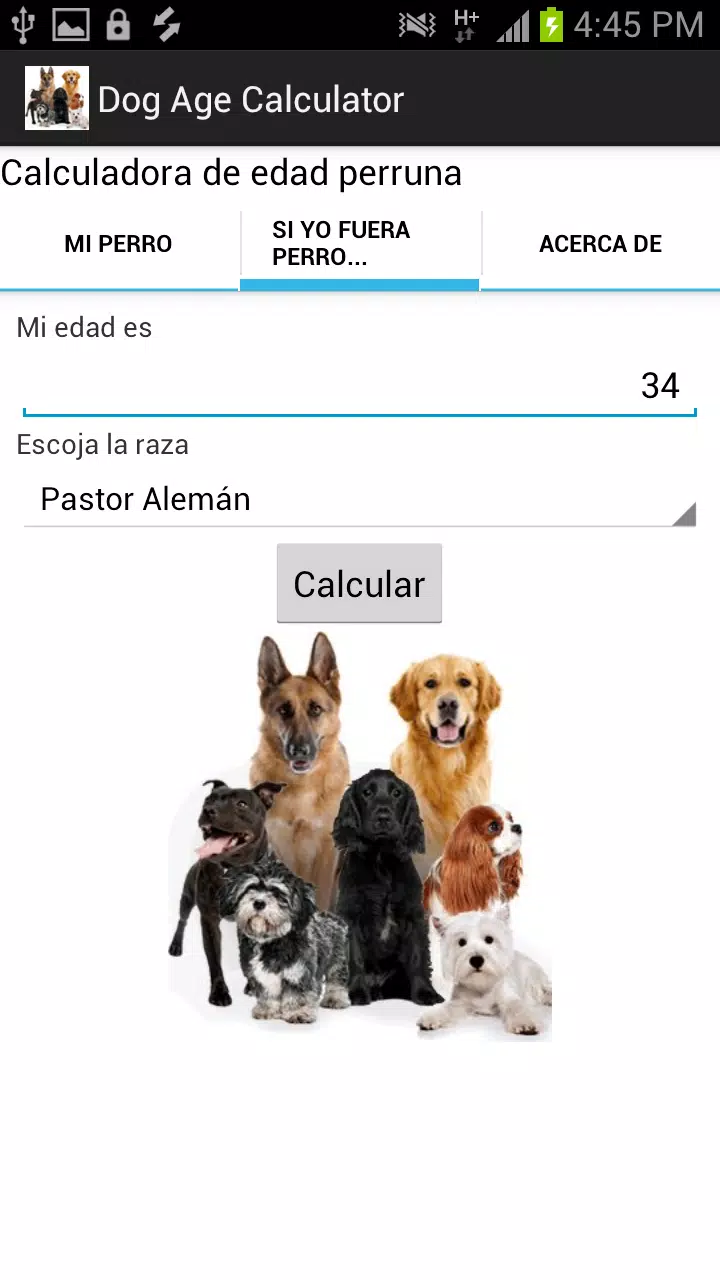 Dog Age Calculator: Estimate Your Dog Age Life Expectancy, 53% OFF