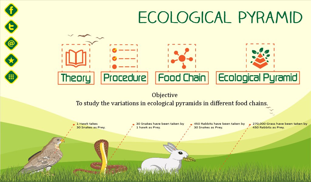 Ecological Pyramid-Food Chain Latest Version 1.0.1 for Android