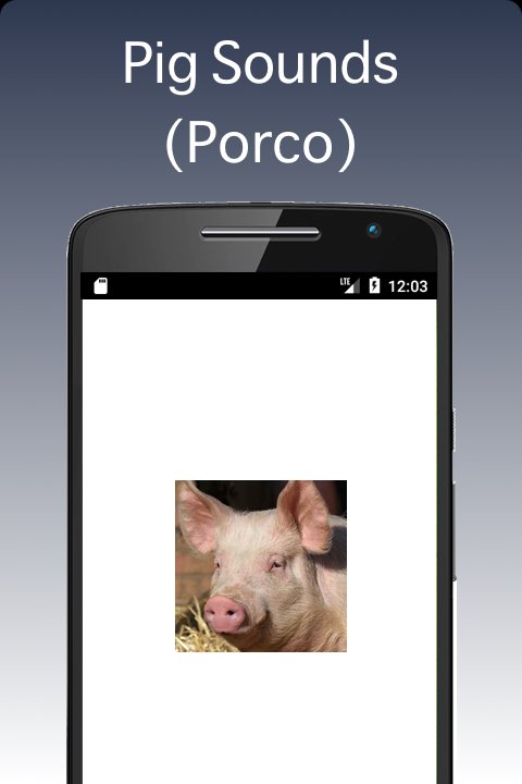 Pig Sounds APK for Android Download
