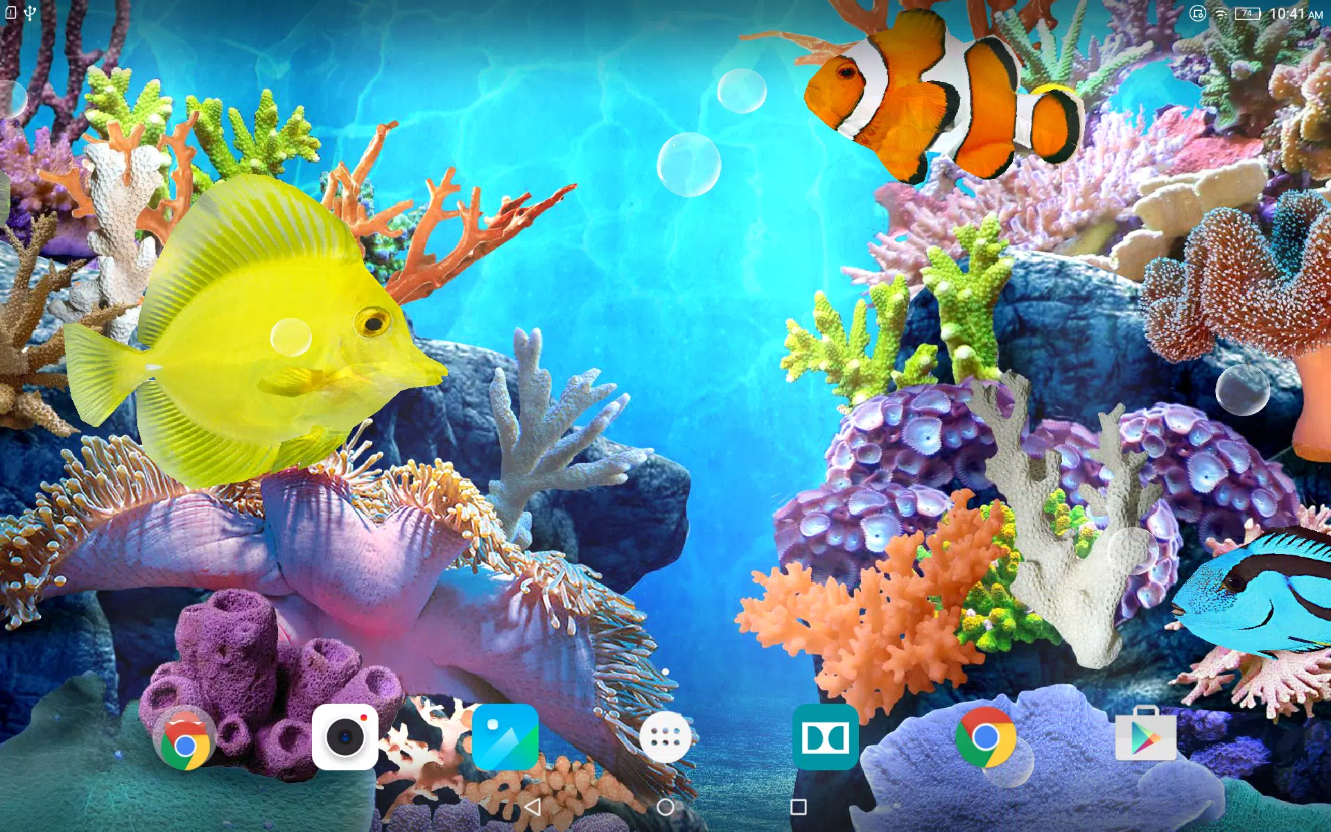 Animated Aquarium Wallpaper Free Download