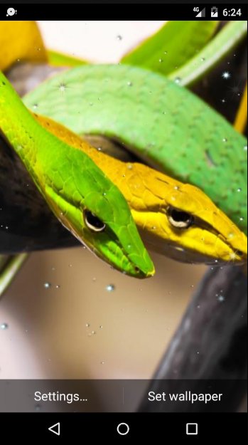 Amazing Snake Live Wallpaper APK for Android Download