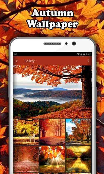 Autumn Wallpaper HD APK for Android Download