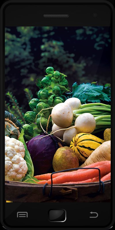 Vegetable APK for Android Download