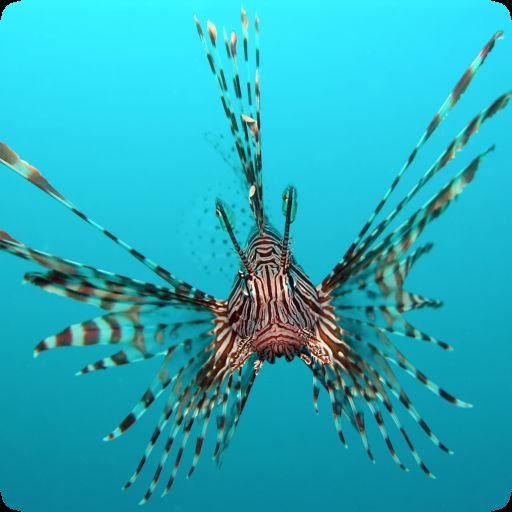Fish Sounds APK for Android Download