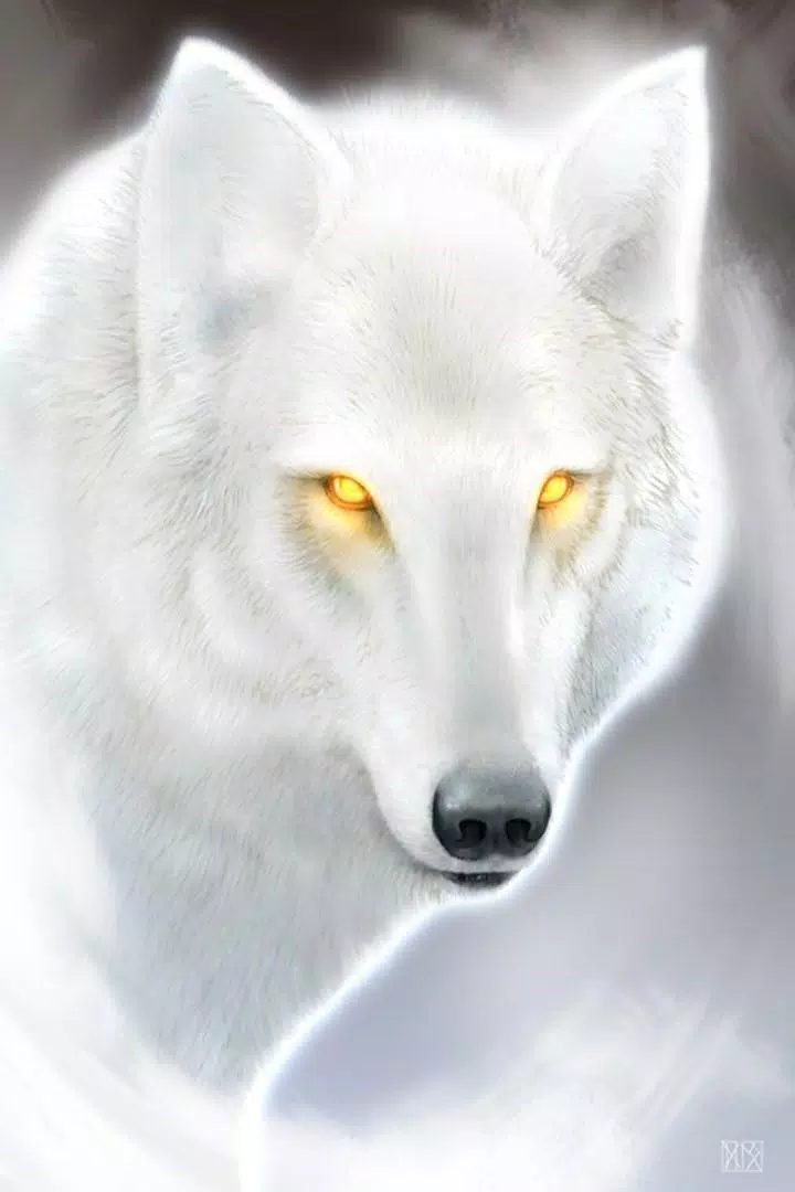Anime White Wolf Wallpaper