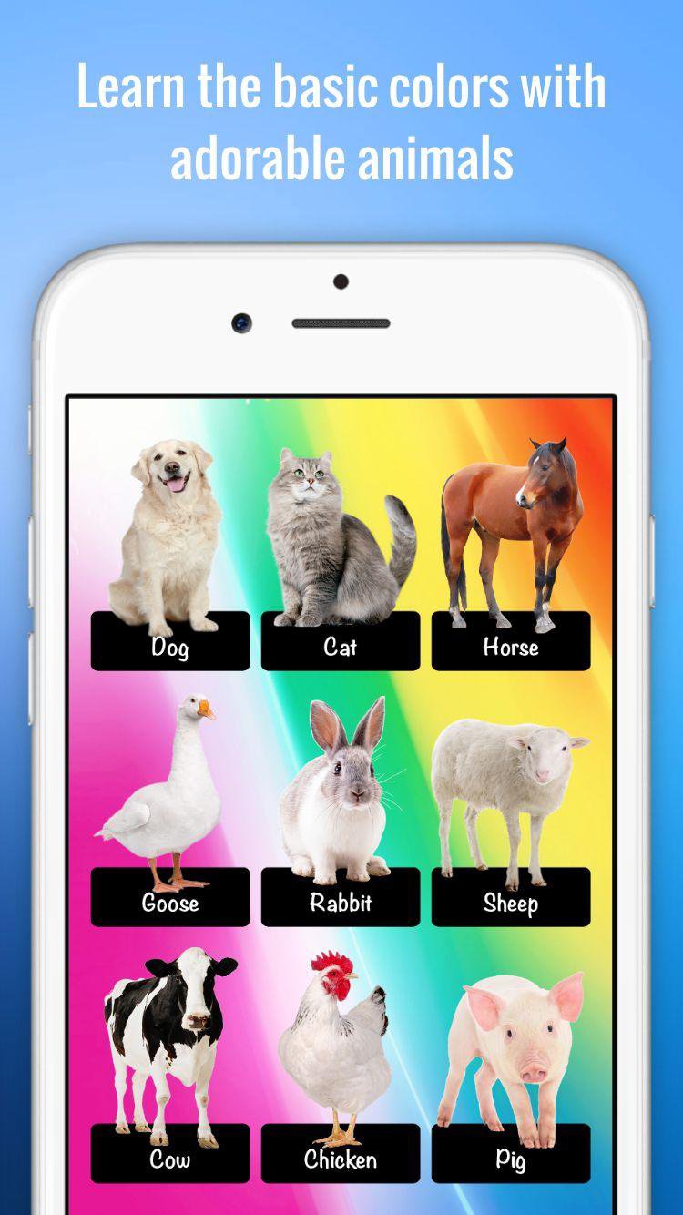 Color Zoo APK for Android Download