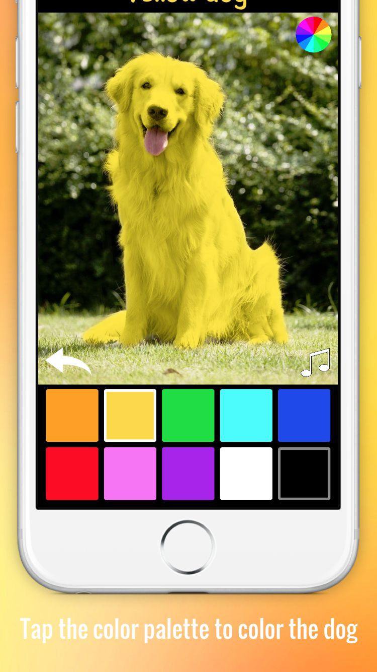 Color Zoo APK for Android Download