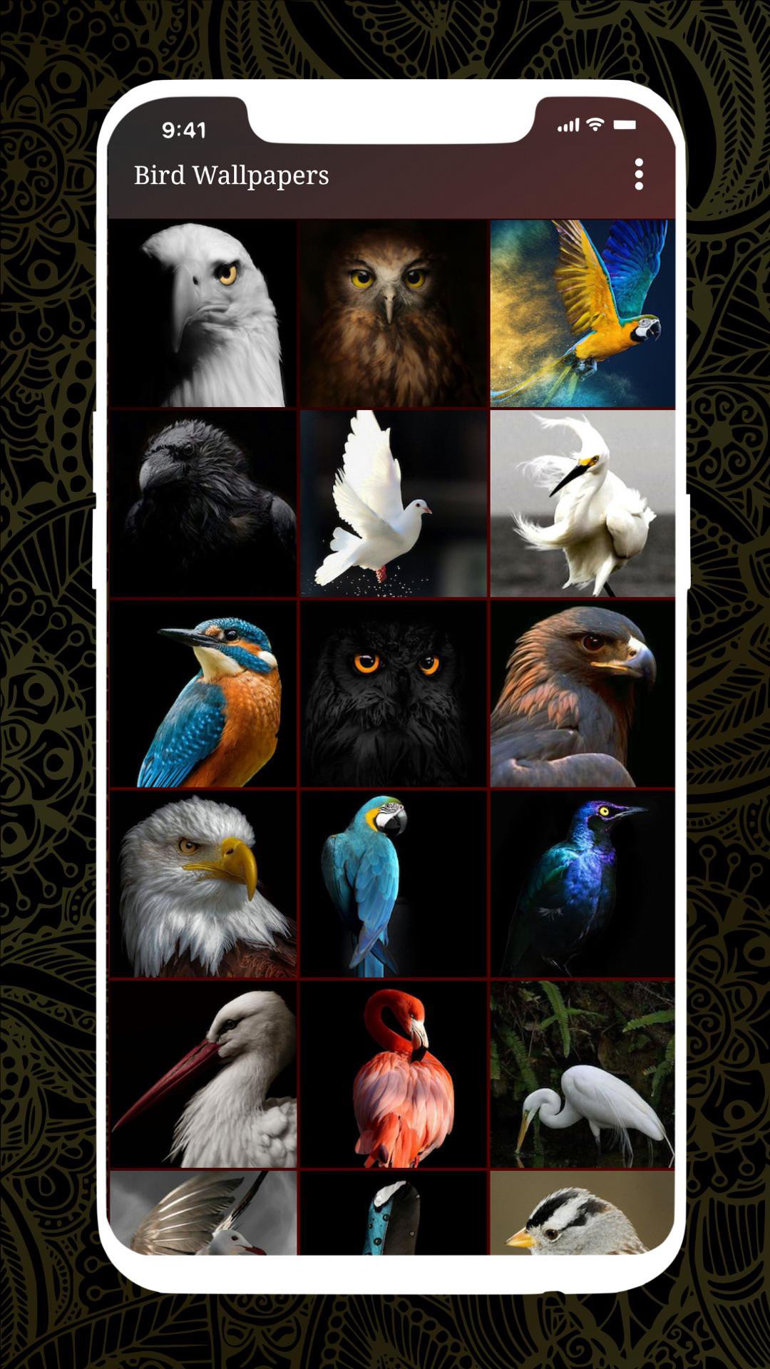 Bird - Animal Wallpapers APK for Android Download