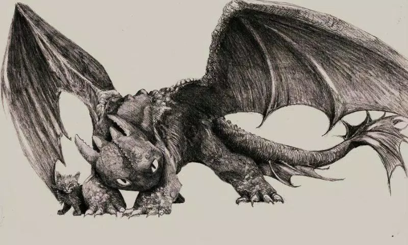 Toothless The Dragon Realistic Sketches