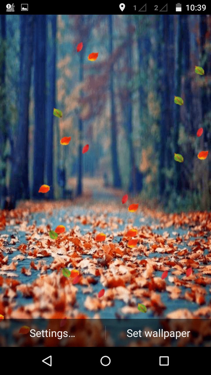 Autumn Live Wallpaper APK for Android Download