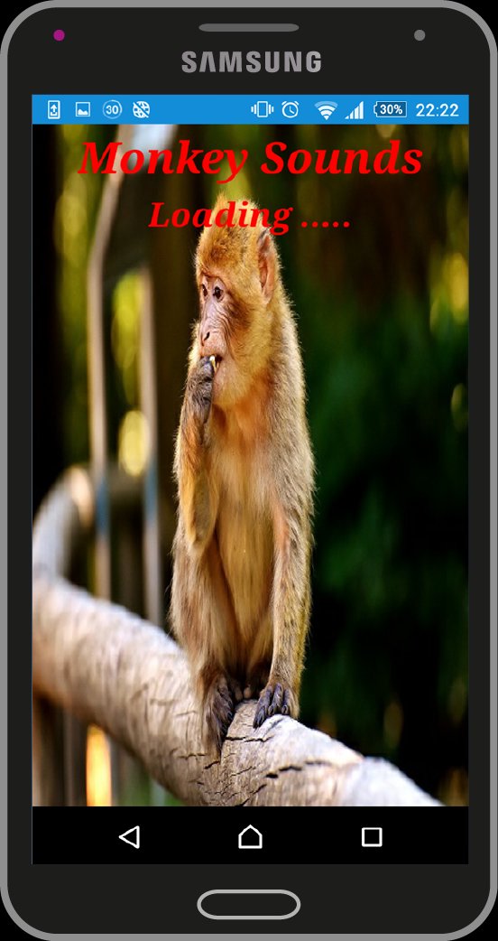 Monkey Sounds APK for Android Download