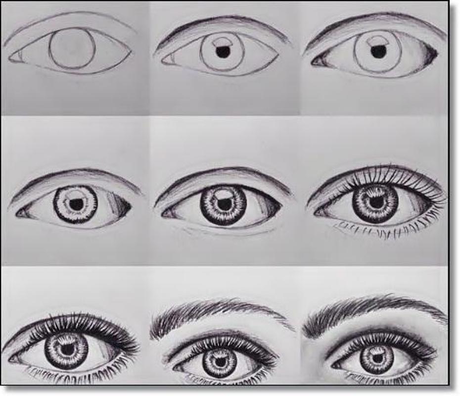 Como Desenhar Olhos Humanos Passo A Passo Sobre Os Olhos