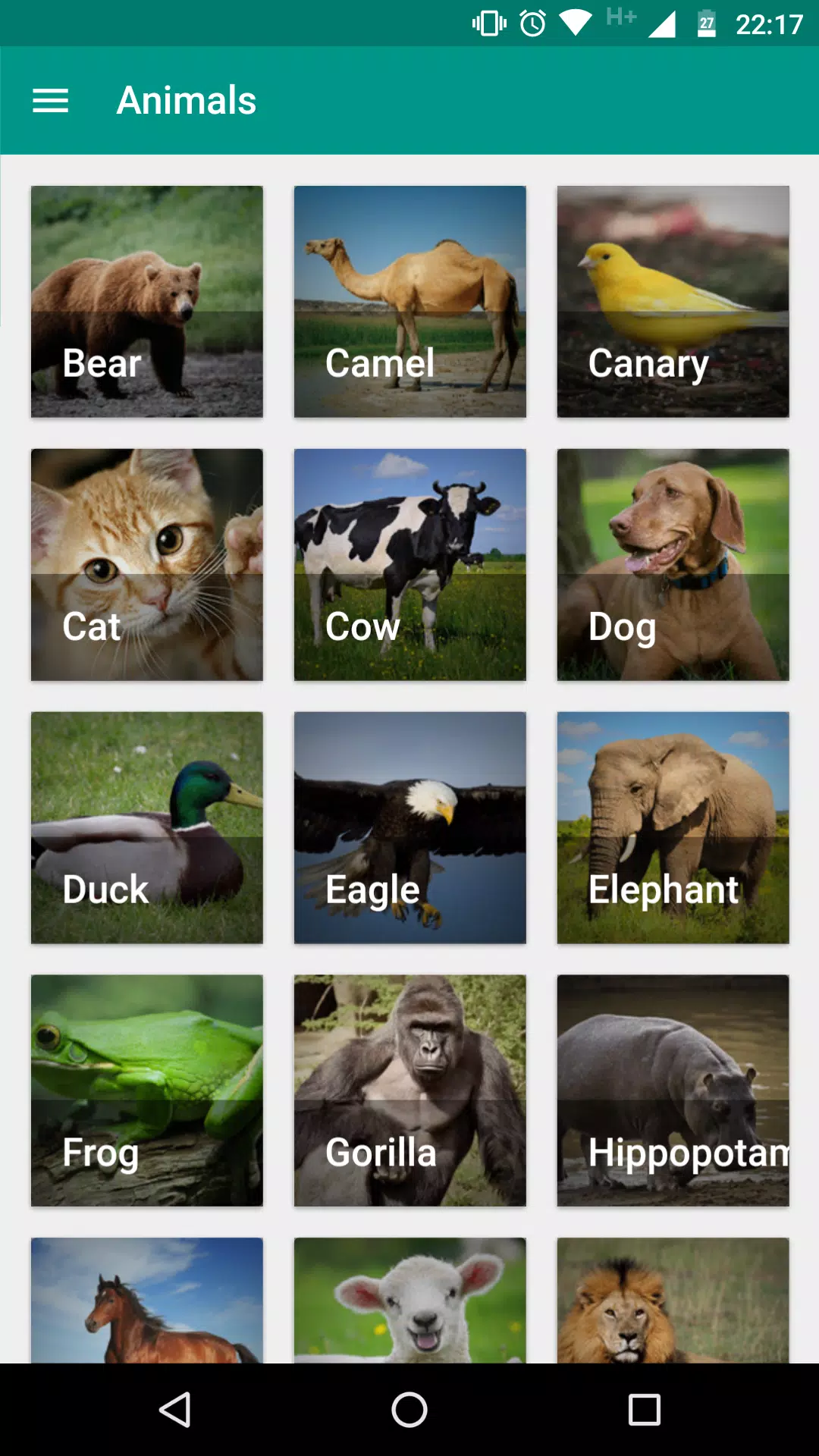 Loud Sounds Animals