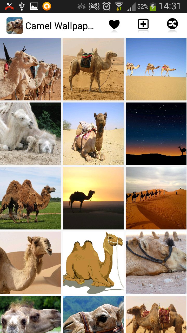 Android용 Camel Wallpapers APK 다운로드