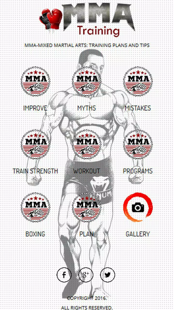 Mixed Martial Arts Training Workouts