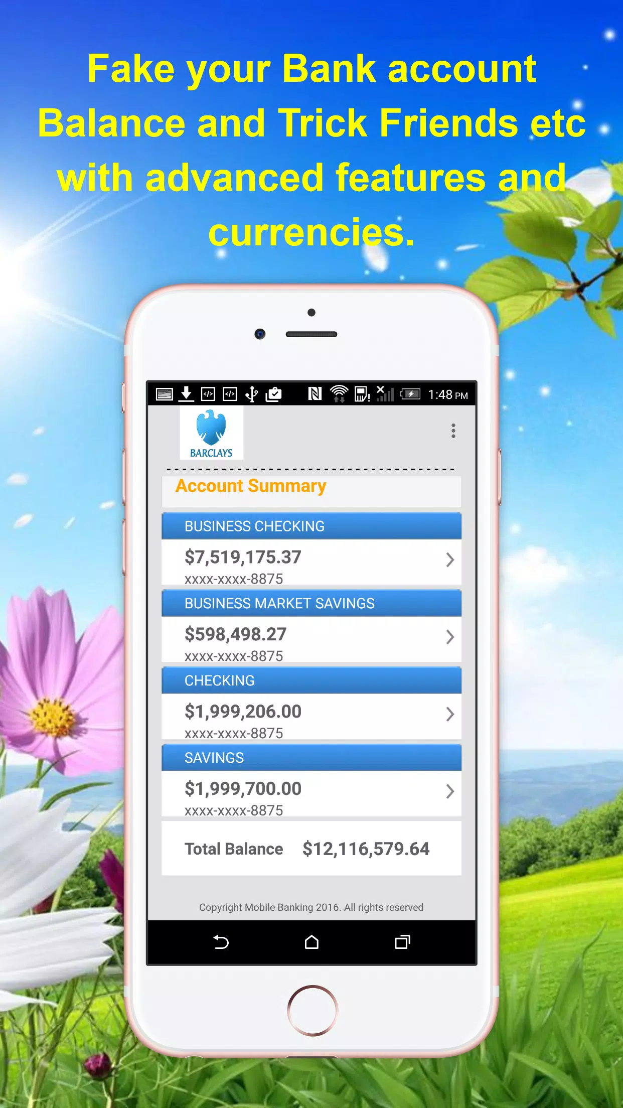 Bank Account Balance Screenshot
