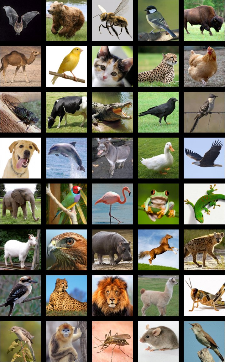 Animals Sound Box PRO APK for Android Download