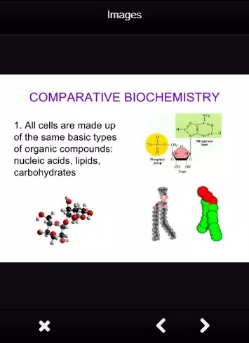 Comparative Biochemistry Examples