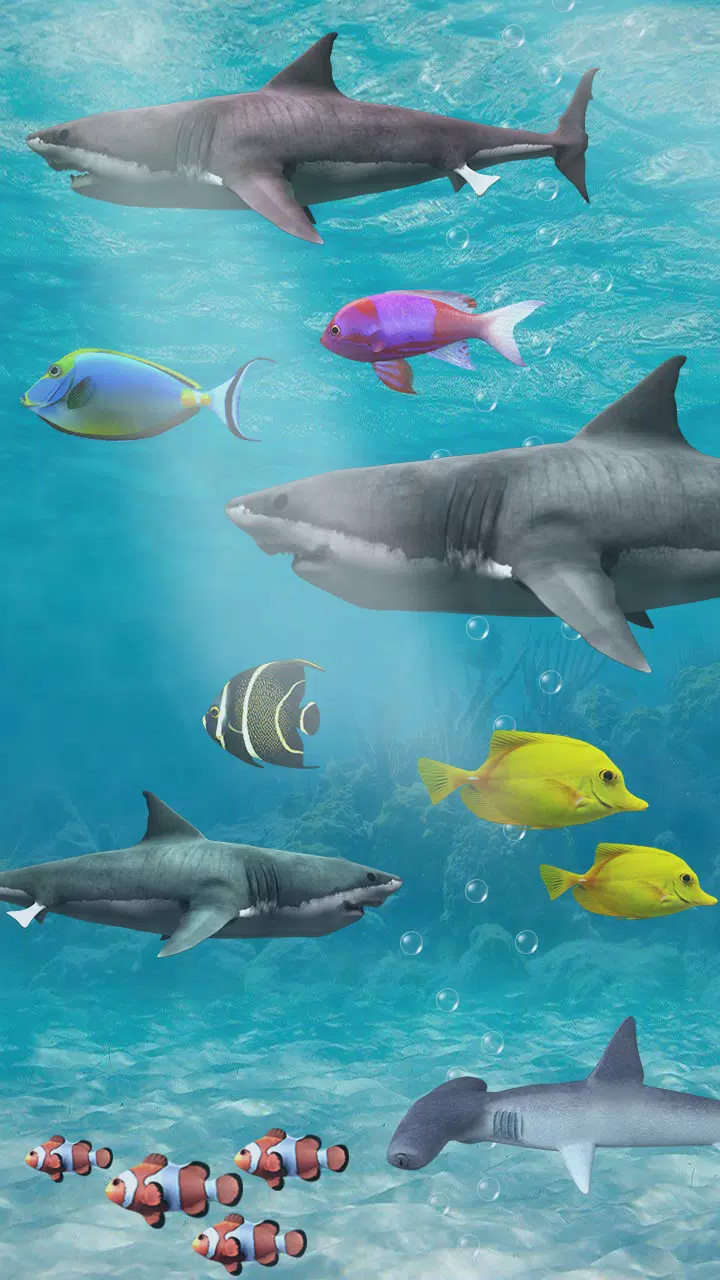 Shark Aquarium Wallpaper